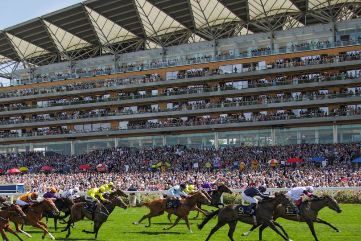 Our Guide to The Royal Ascot 2024 | TruClothing
